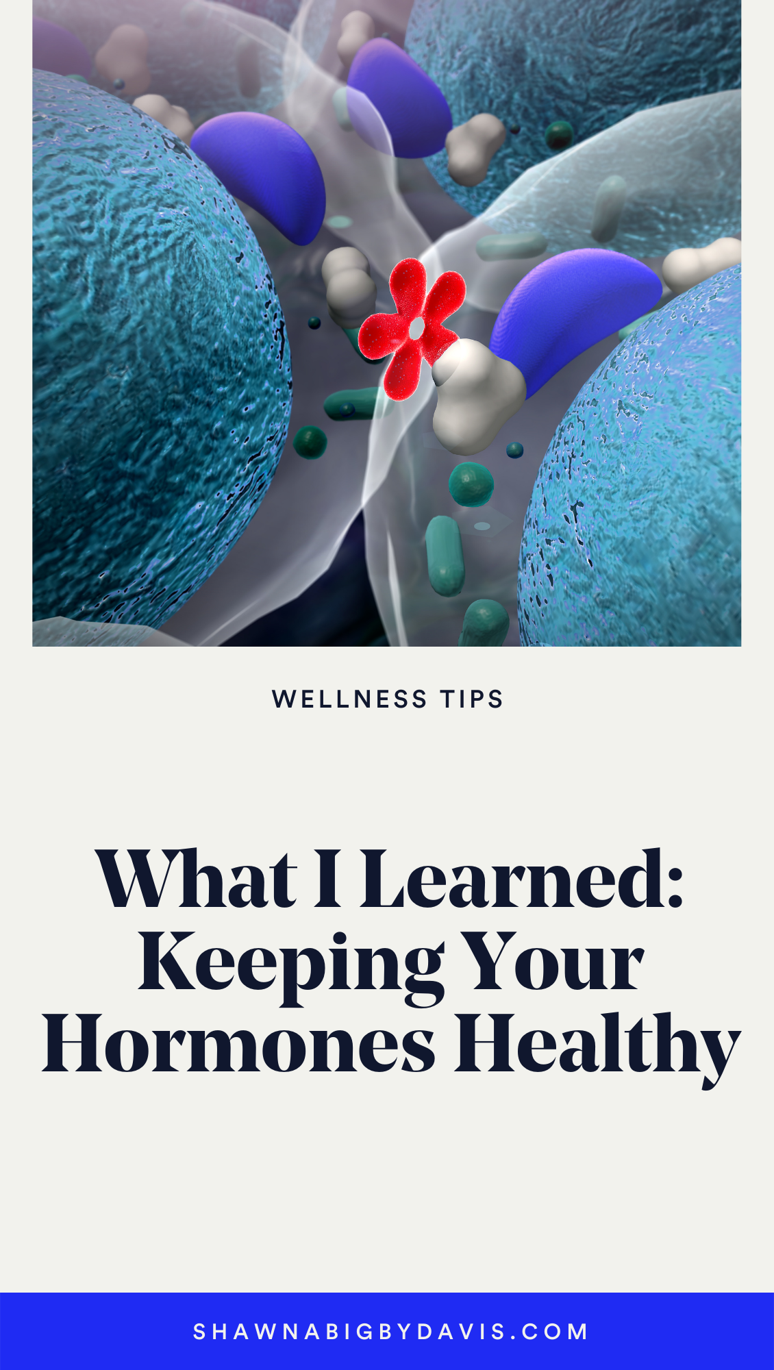 What I Learned: Keeping Your Hormones Healthy - Shawna Bigby Davis