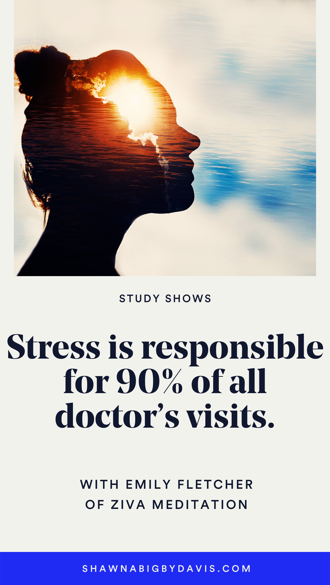 Stress Less, Accomplish MORE - Shawna Bigby Davis