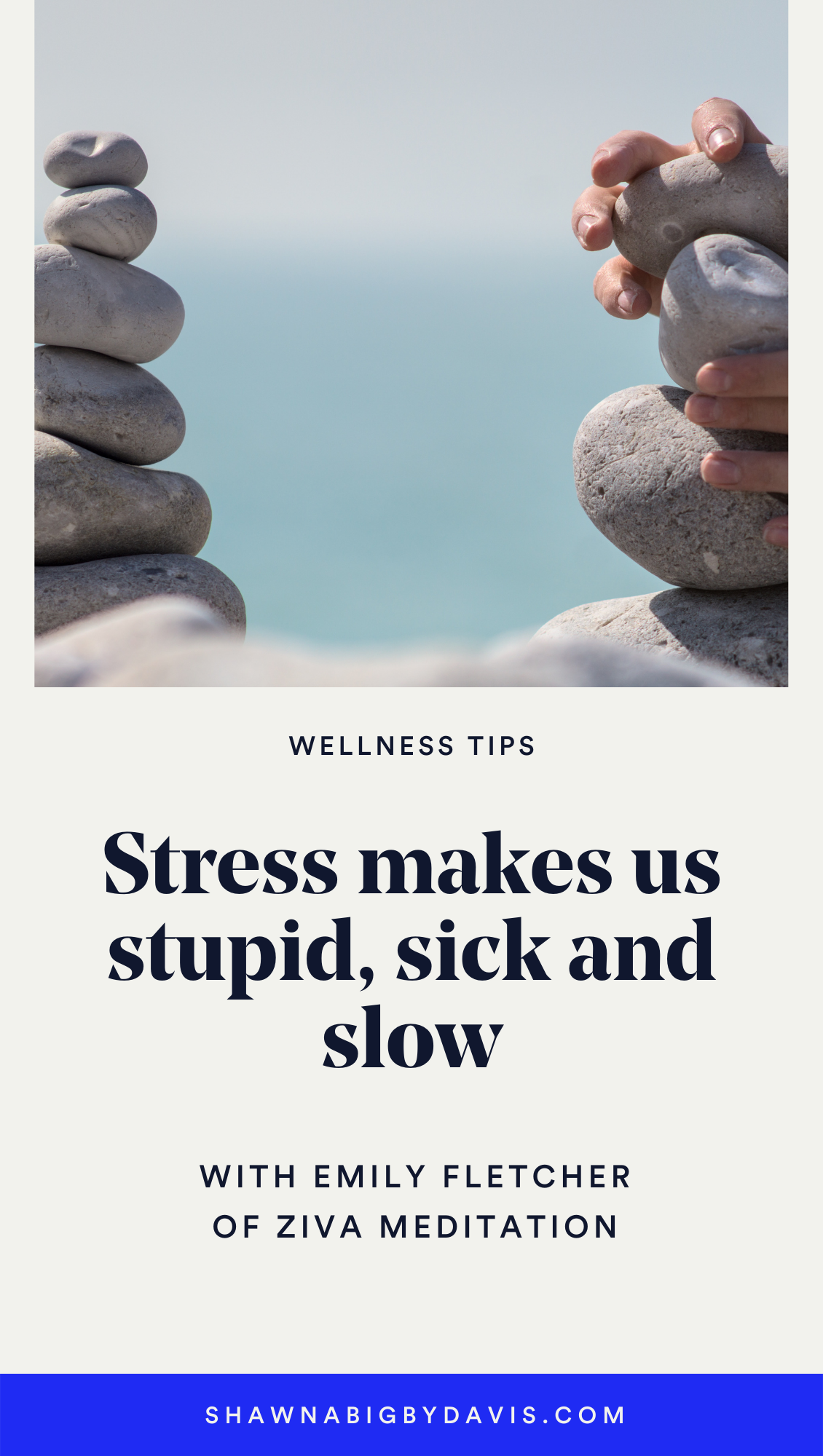 Stress Less, Accomplish MORE - Shawna Bigby Davis