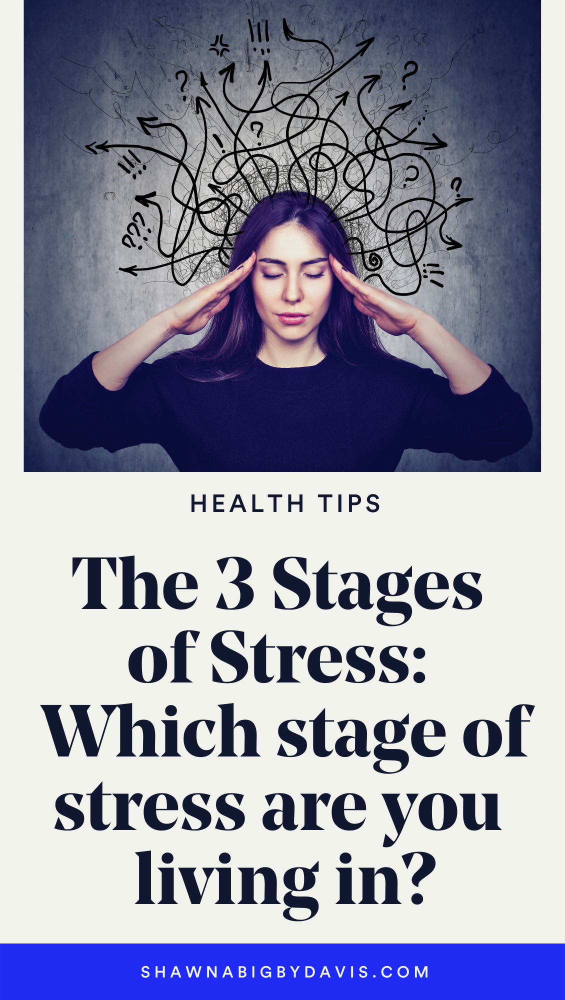 The 3 Stages of Stress - Shawna Bigby Davis