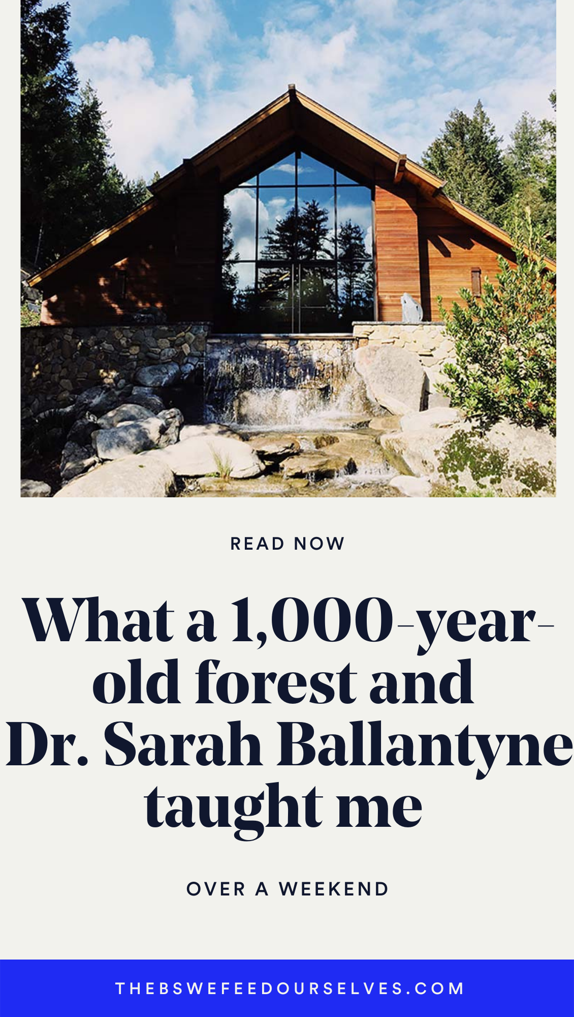 What a 1,000-year-old forest and Dr. Sarah Ballantyne taught me over a ...