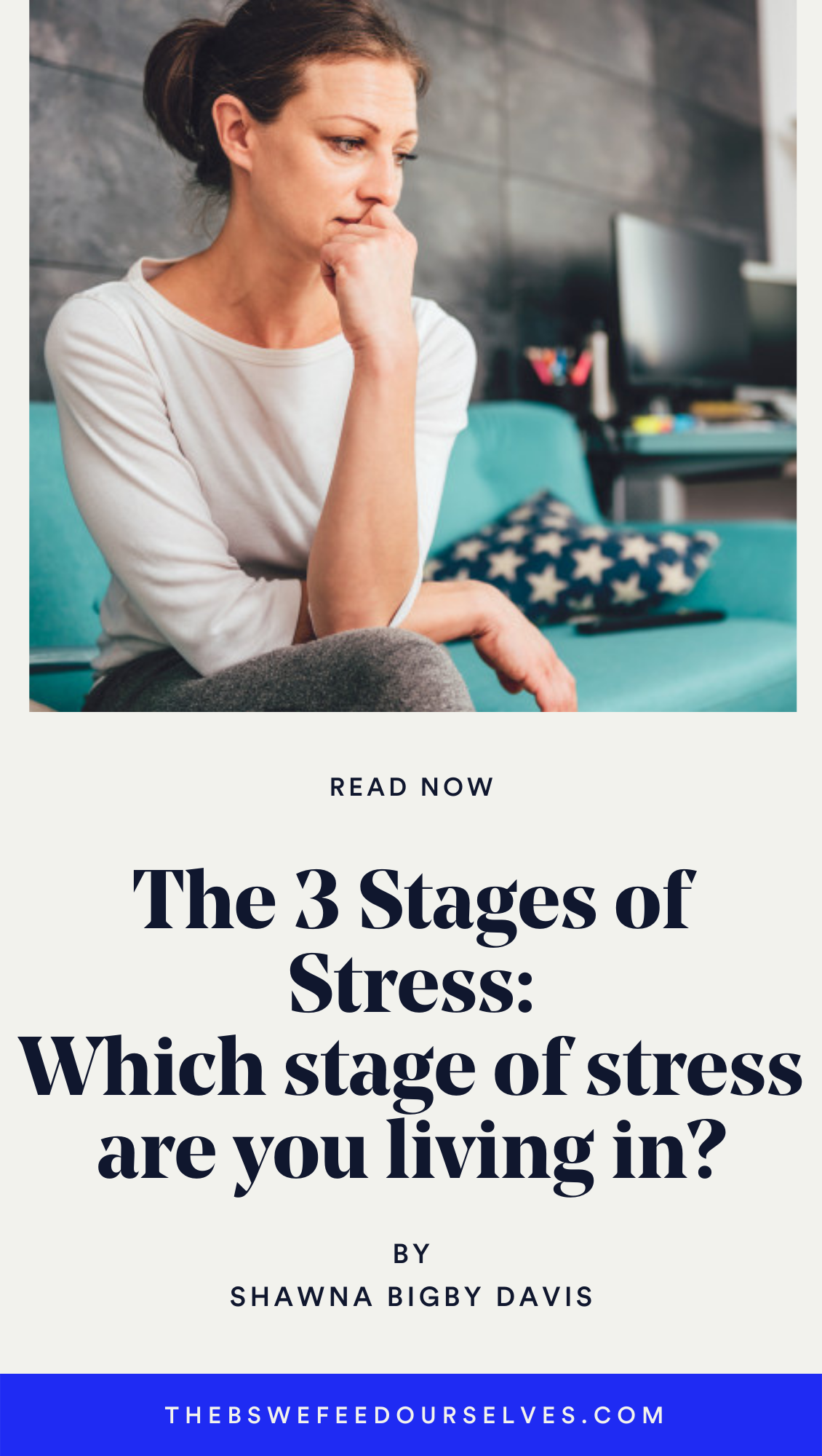 The 3 Stages of Stress - Shawna Bigby Davis