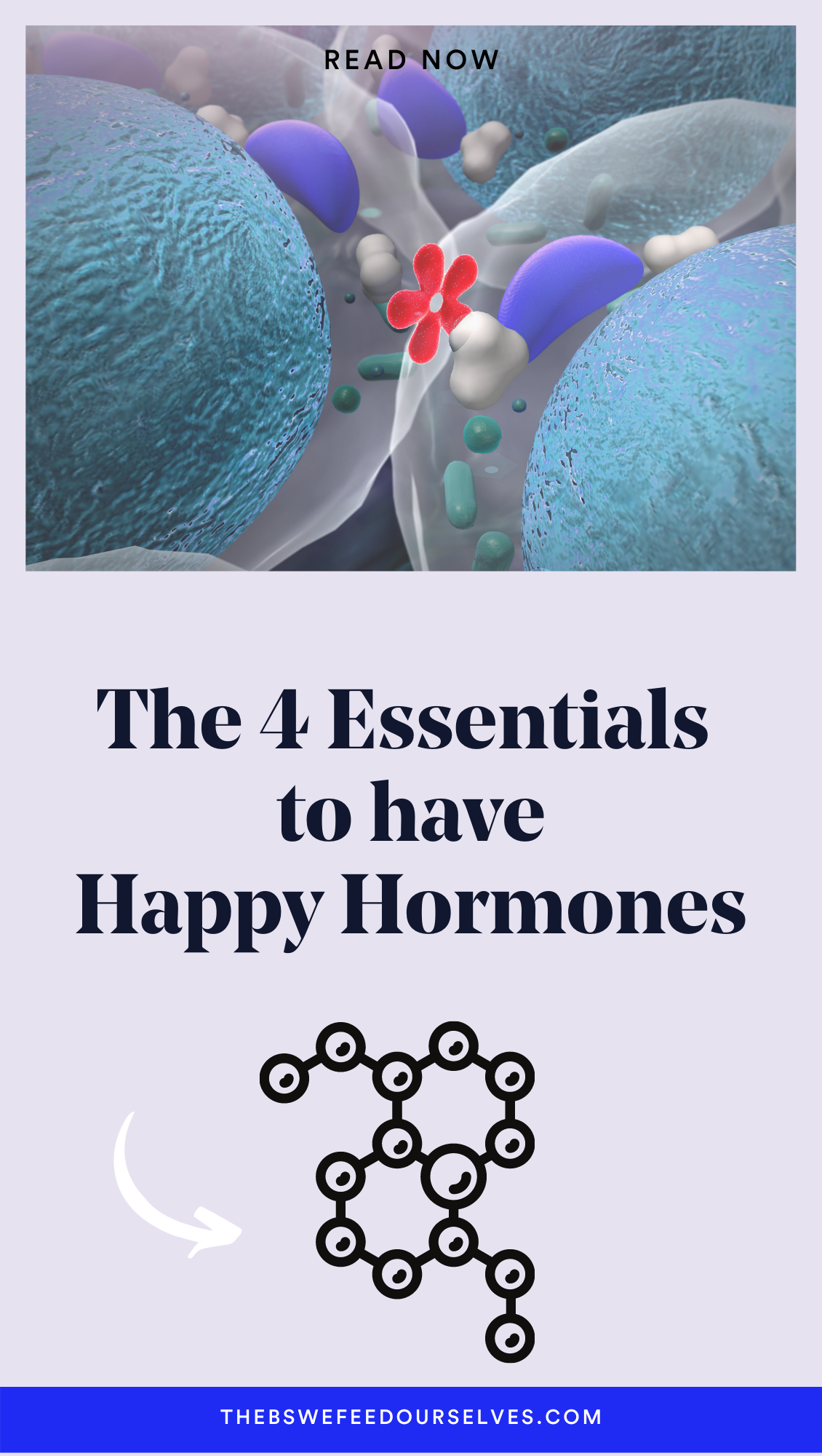 The 4 Essentials to have Happy Hormones - Shawna Bigby Davis