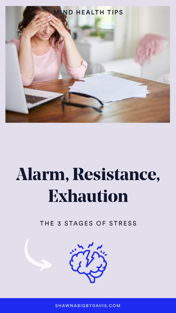 The 3 Stages of Stress - Shawna Bigby Davis